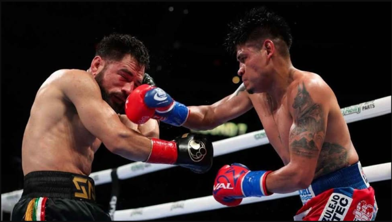 World Boxing Organization Homepage - WBO